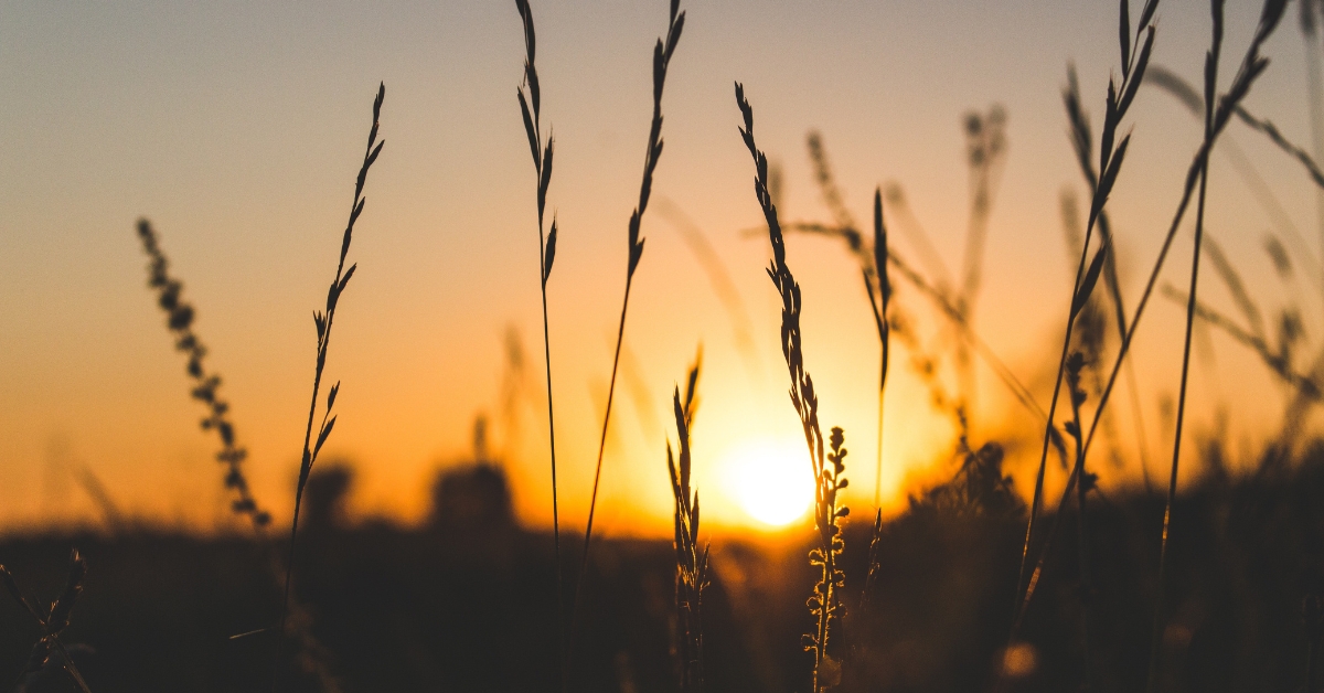 How to Create a Simple Evening Routine and Why You Need One - Fit Soul ...